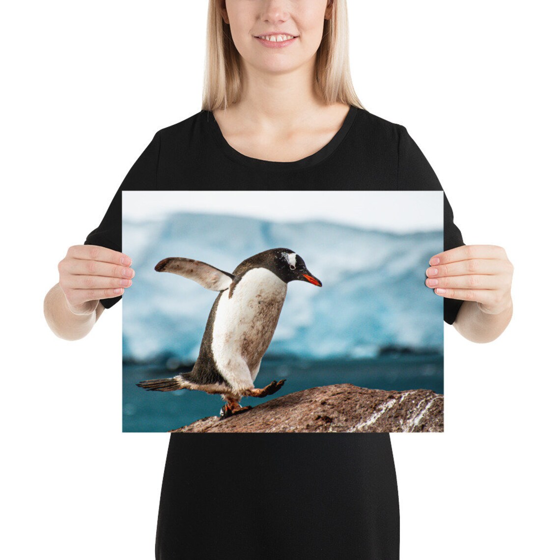 Gentoo Penguin. Unframed Wildlife Fine Art Print. 16x12". Digital ...