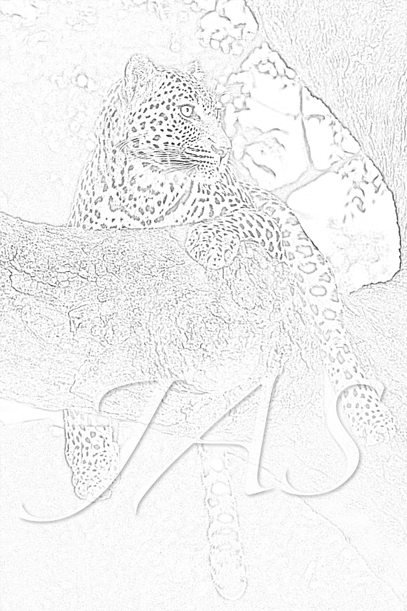 Leopard. Instant Download. Printable Coloring Page in PDF & - Etsy