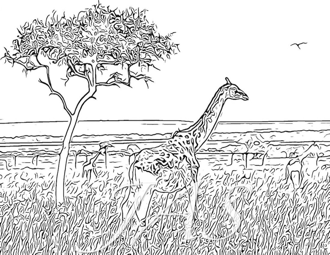Giraffe in Grassland. Instant Printable Coloring Page in PDF & JPG ...