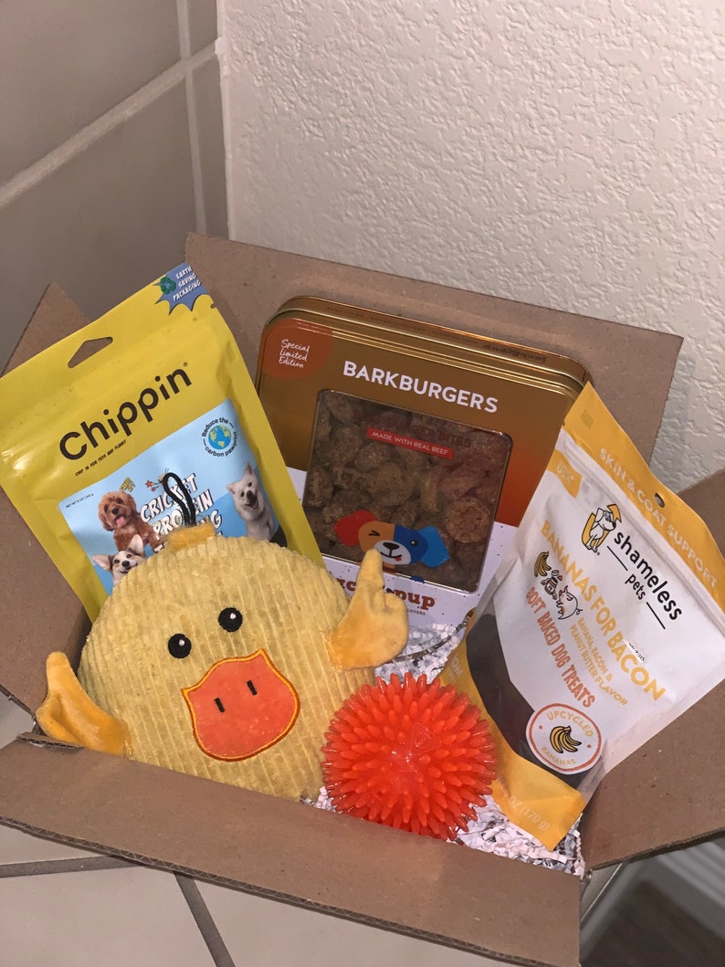Paw Packages Dog Gift Box Includes 5 Treats/toys Made to - Etsy