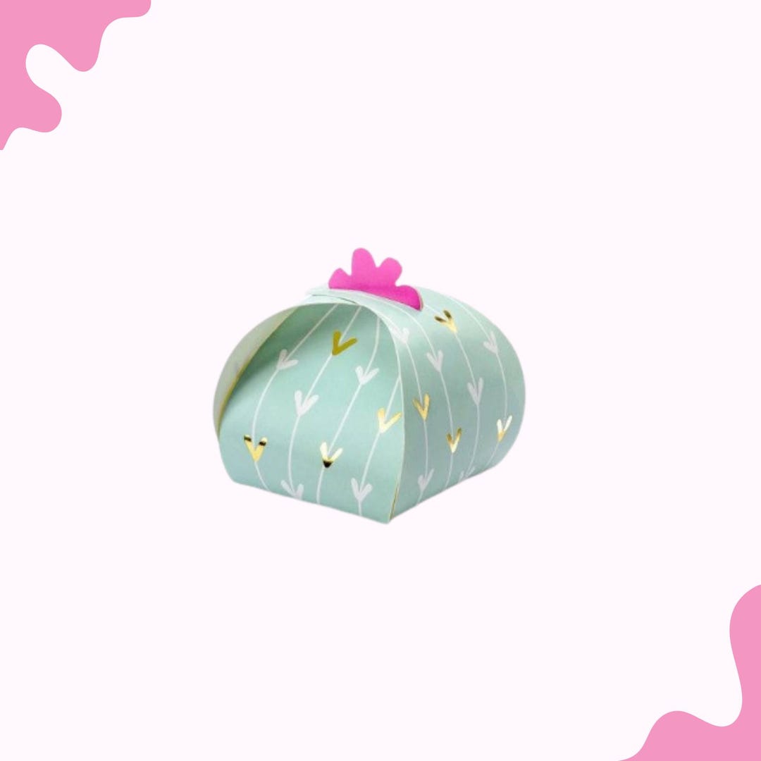 Cactus Treat Boxes, Set of 10 Party Favors, Bachelorette or Girls Night ...