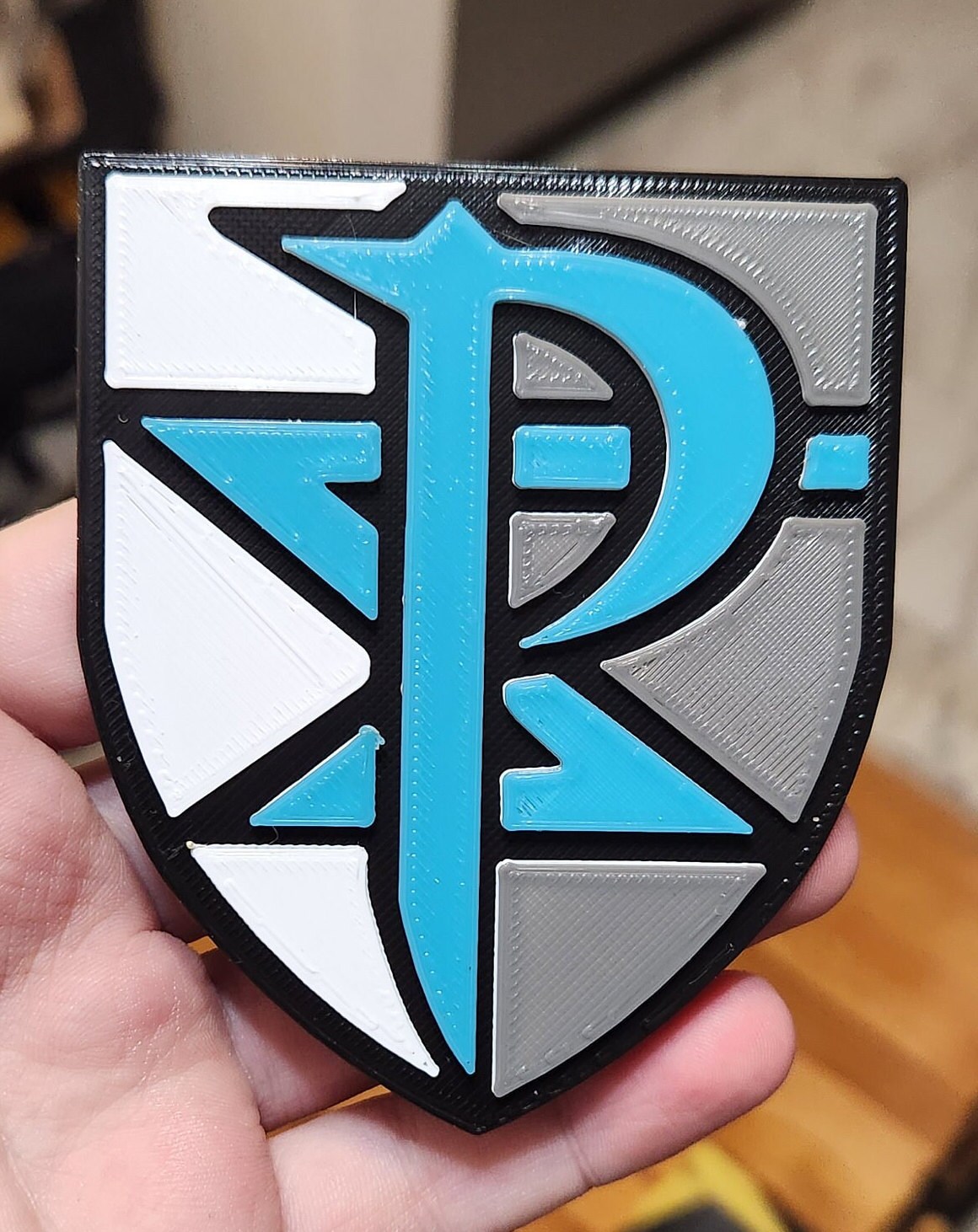 Pokemon Team Plasma Logo
