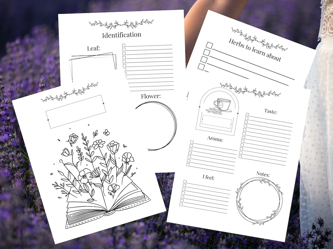 Herb Worksheet, Herb Journal, Herbal Learning, Herbal Recipes, Foraging ...