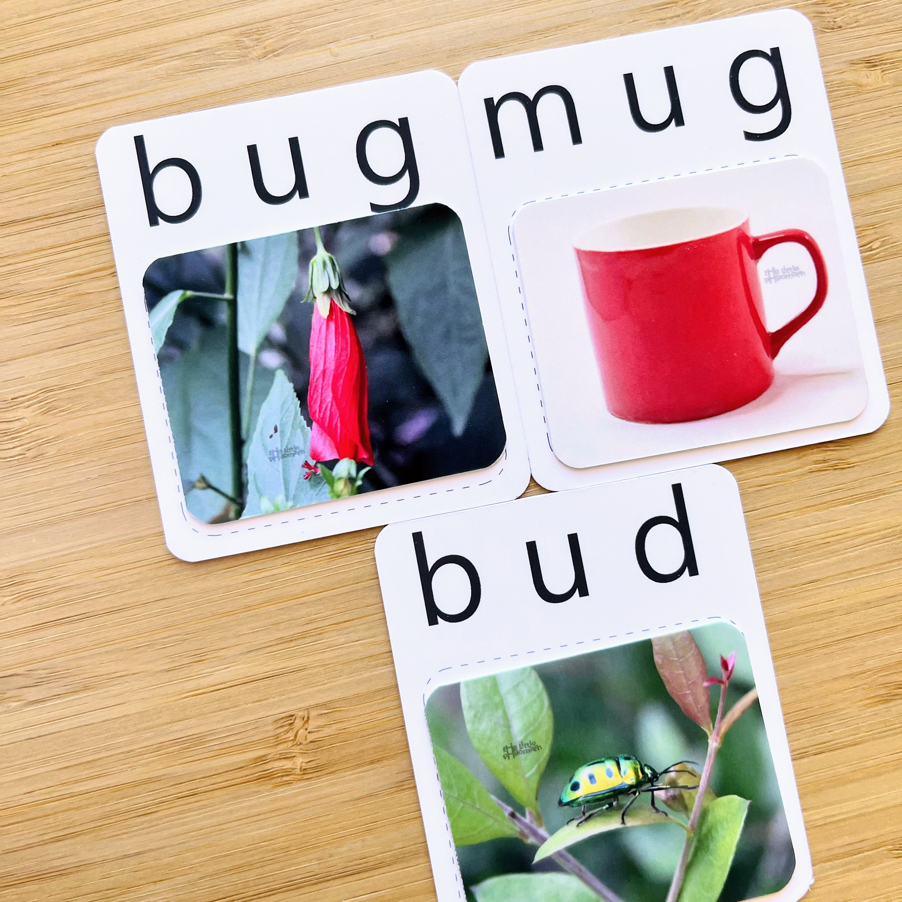 CVC Word Match Game - Montessori-inspired, Real Images, Kindergarten ...