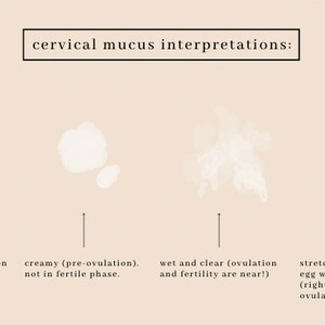 The PCOS Beginner's Guide - Etsy