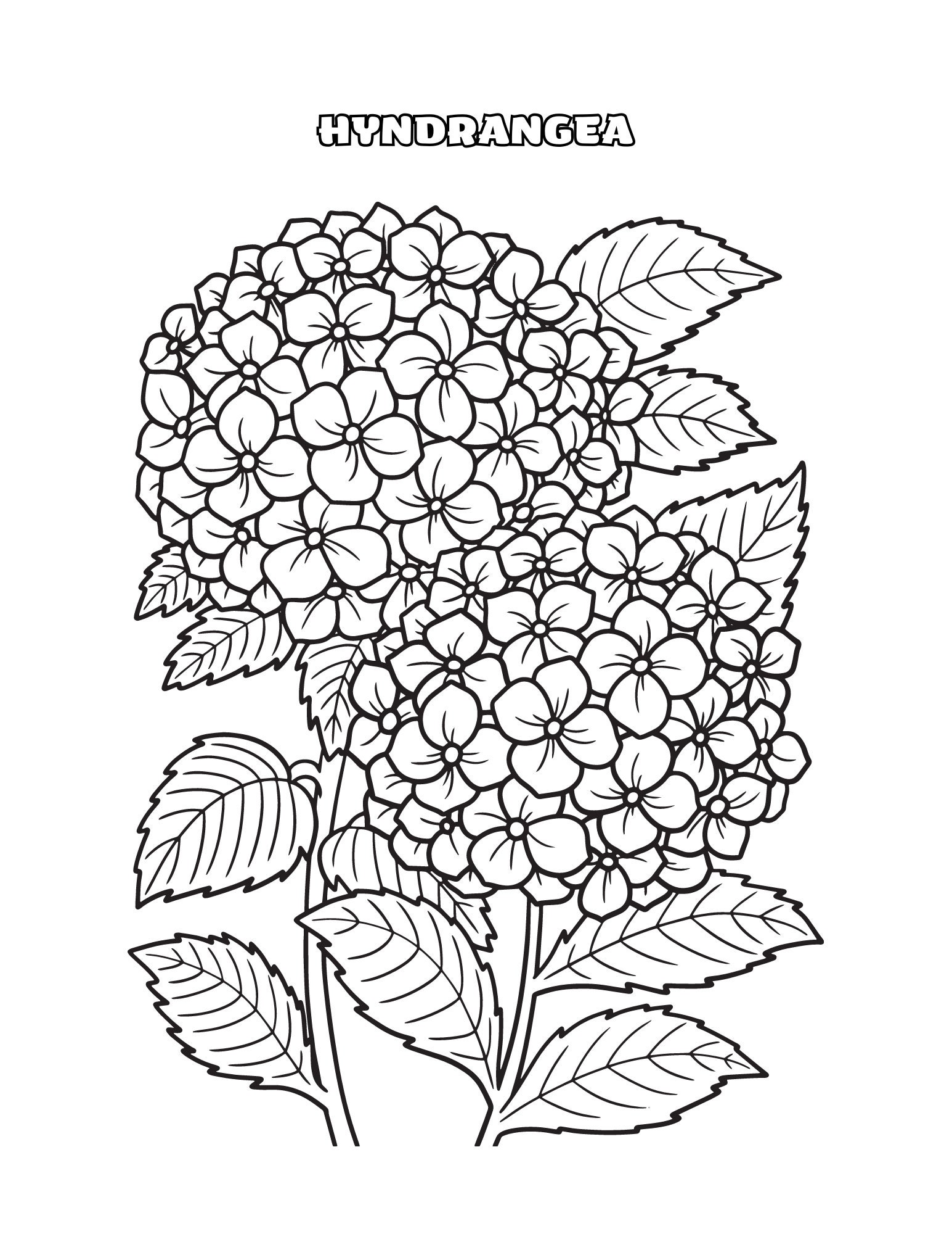 Black and White Outline Flower Coloring Pages - Etsy