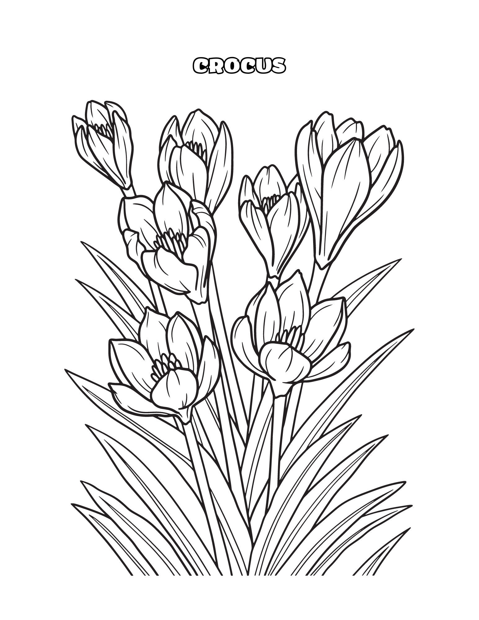 Black and White Outline Flower Coloring Pages - Etsy
