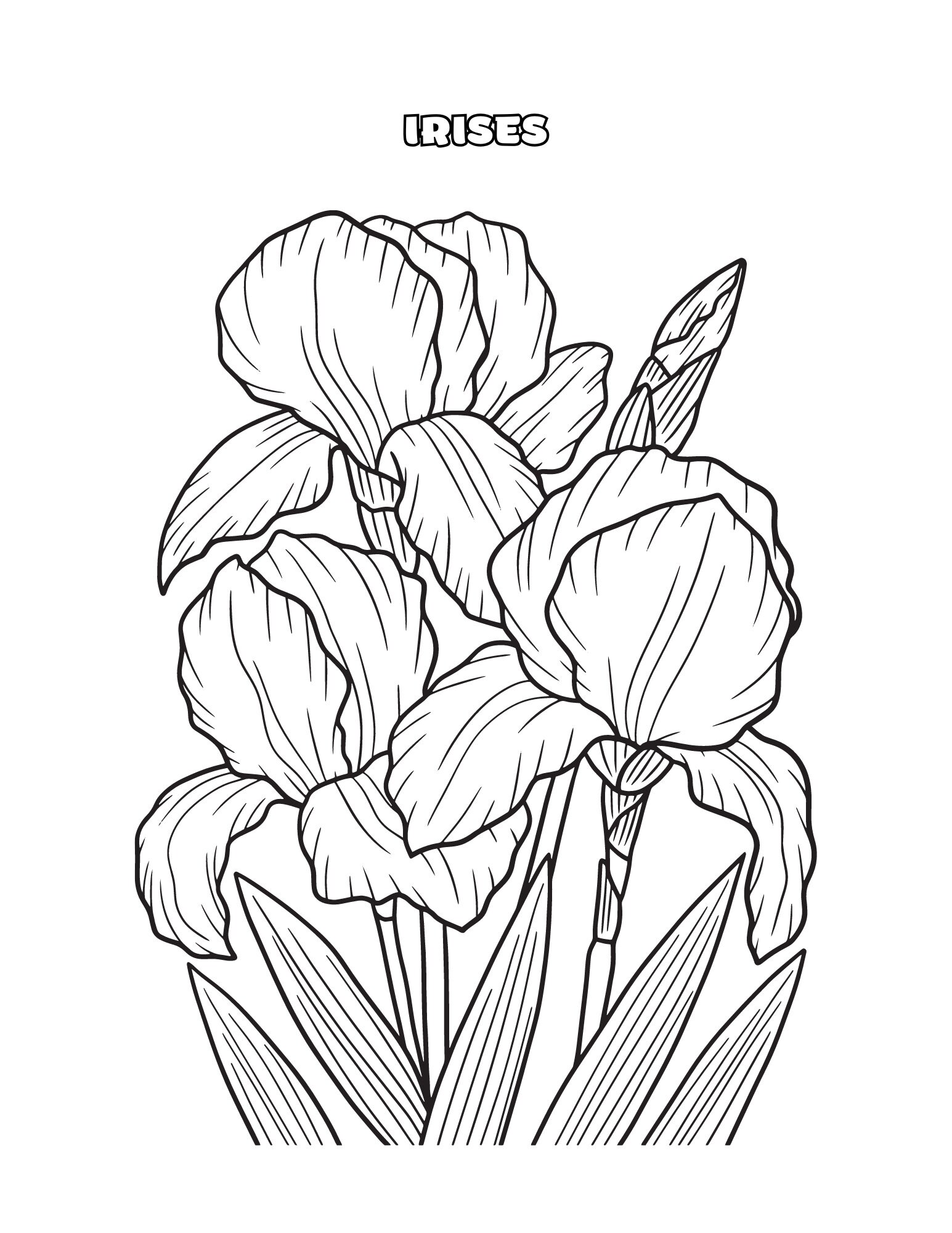 Black and White Outline Flower Coloring Pages - Etsy