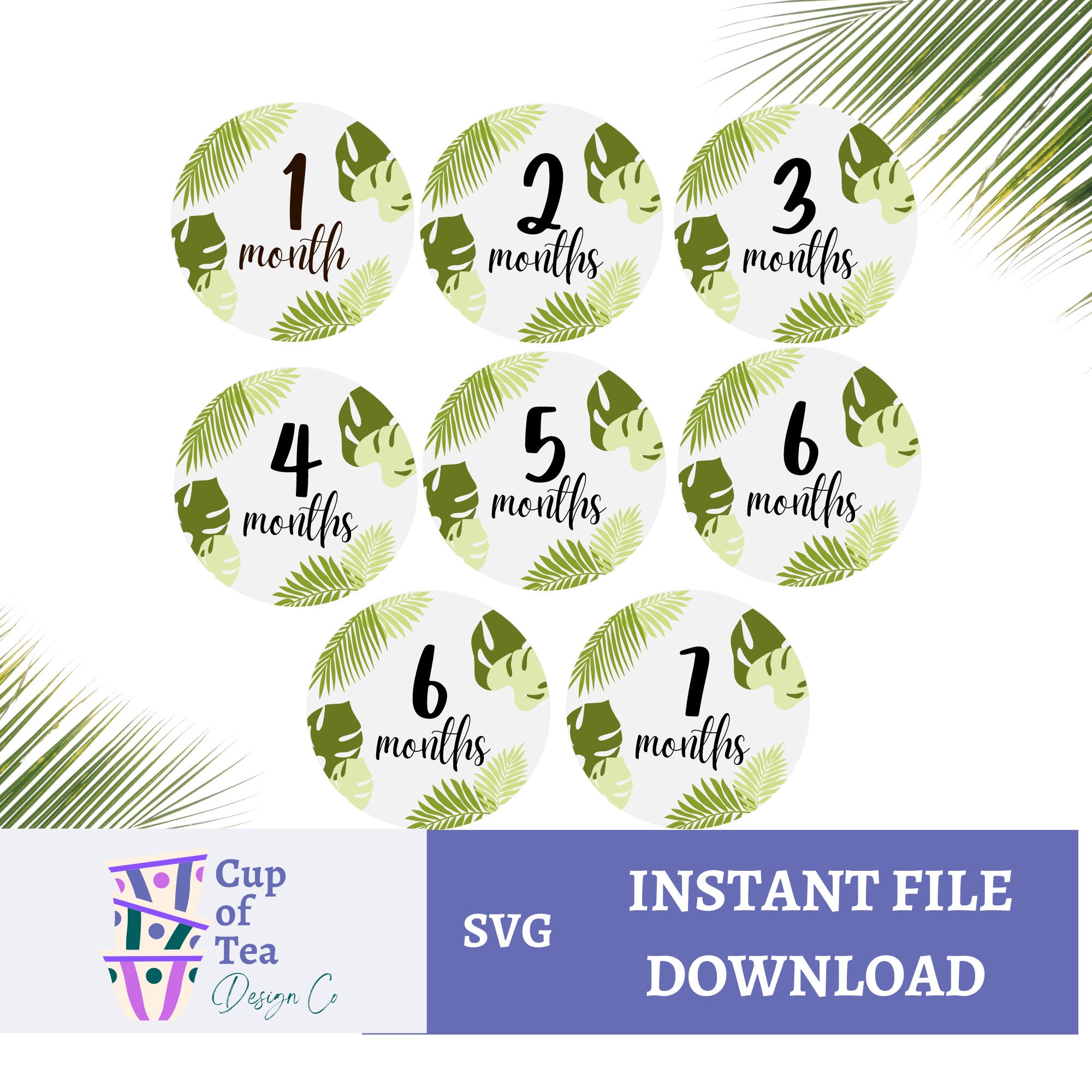 Tropical Jungle Baby Milestone Marker (1-12 Month) SVG File Monthly ...