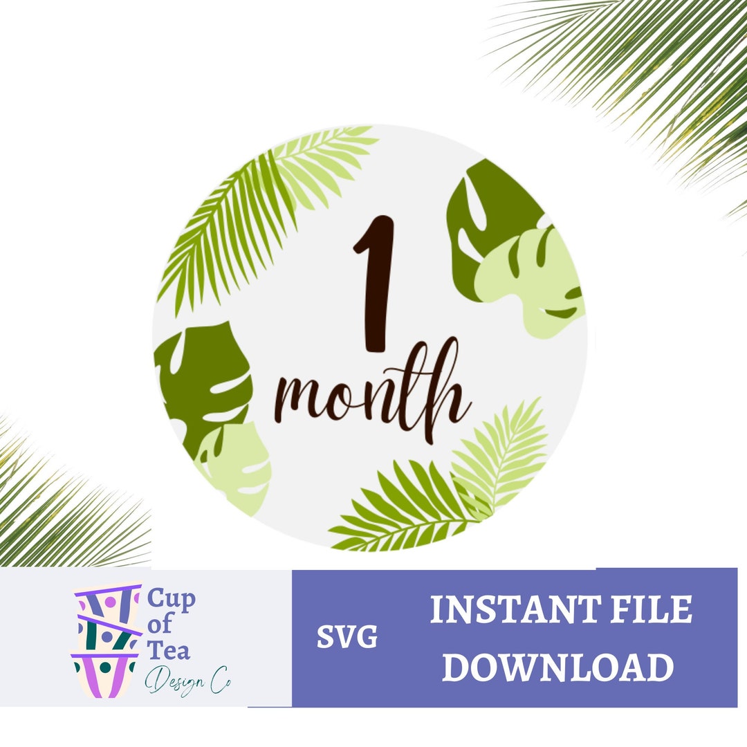 Tropical Jungle Baby Milestone Marker (1-12 Month) SVG File Monthly ...
