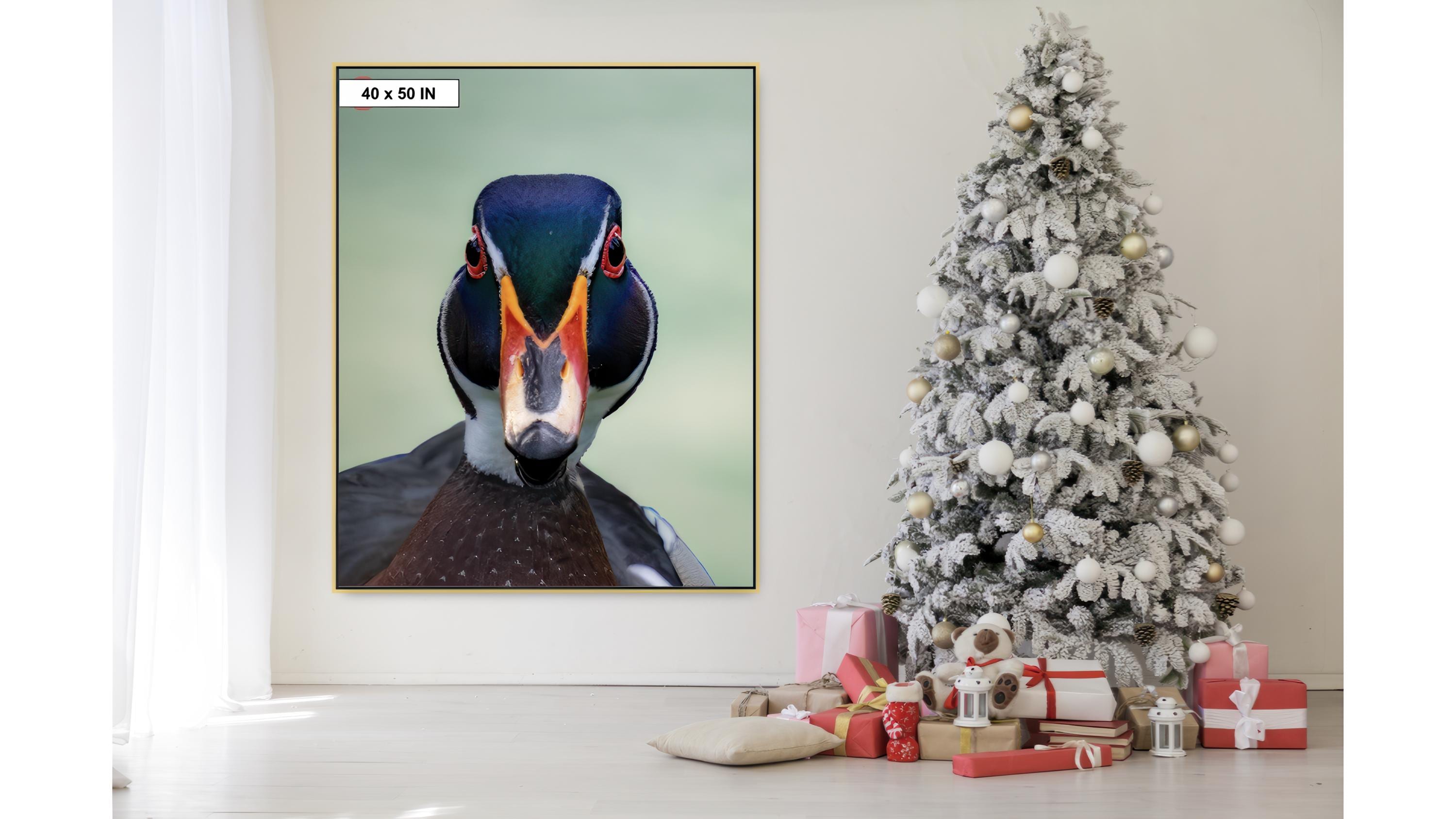 Wood Duck Portrait, Wildlife Photography Print, Bird Photography Print ...