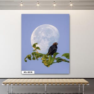 Bird and Moon, Moon Photography Print, Bird Photography Print, Cow Moon ...