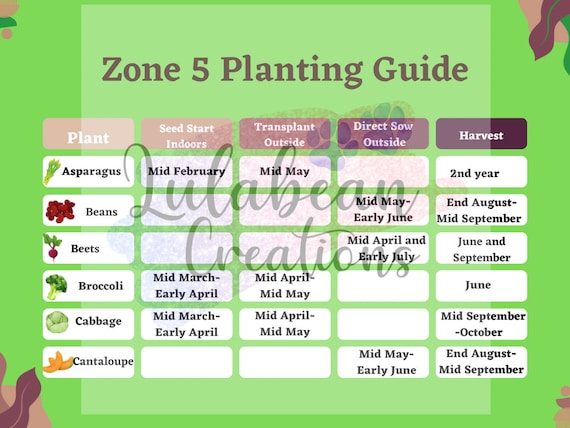 Zone 5 Planting Schedule