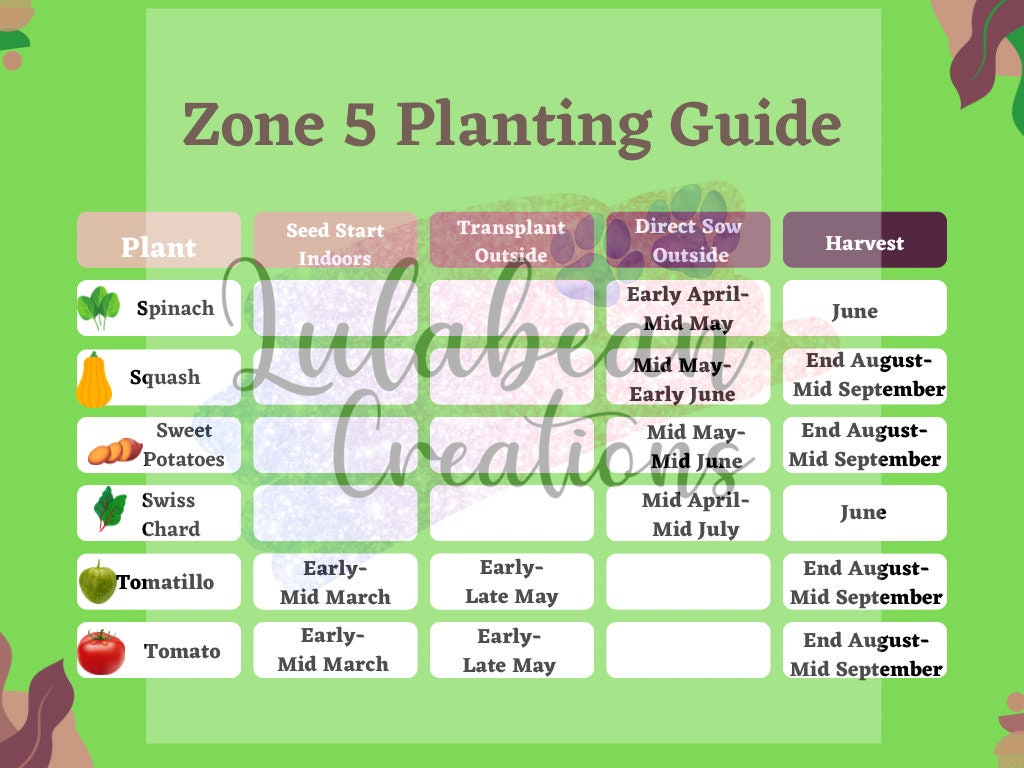 Zone 5 Planting Guide - Etsy