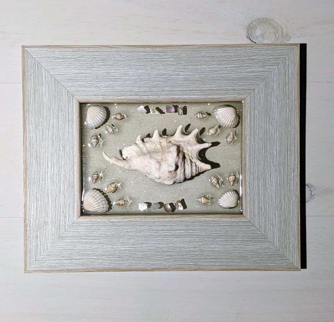 Spider Conch Seashell Epoxy Resin Picture Frame Art - Home & Wall Decor ...