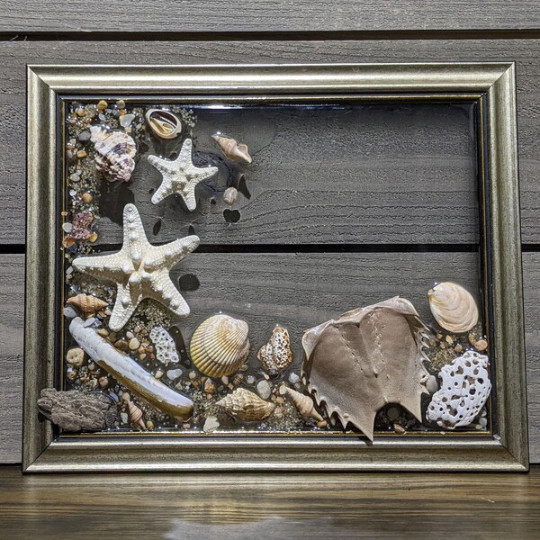 Shell Epoxy Resin Art - Etsy UK