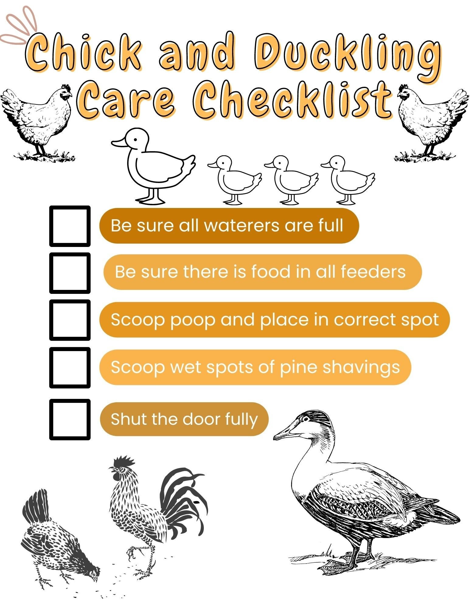 Chick and Duckling Care Checklist - Etsy