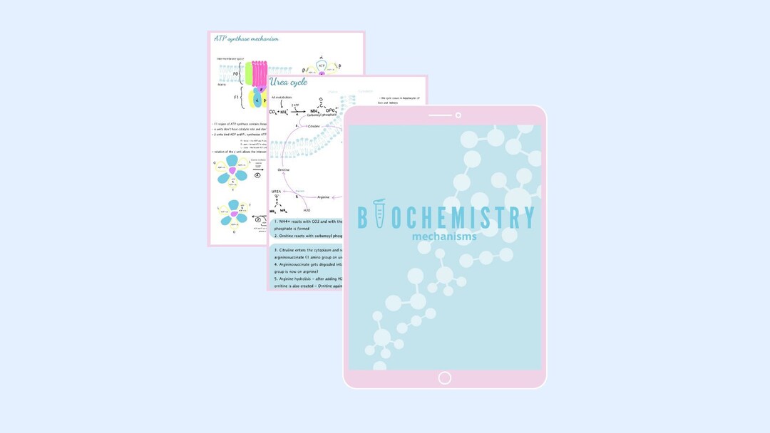 Biochemistry Pathways Study Guide - Etsy