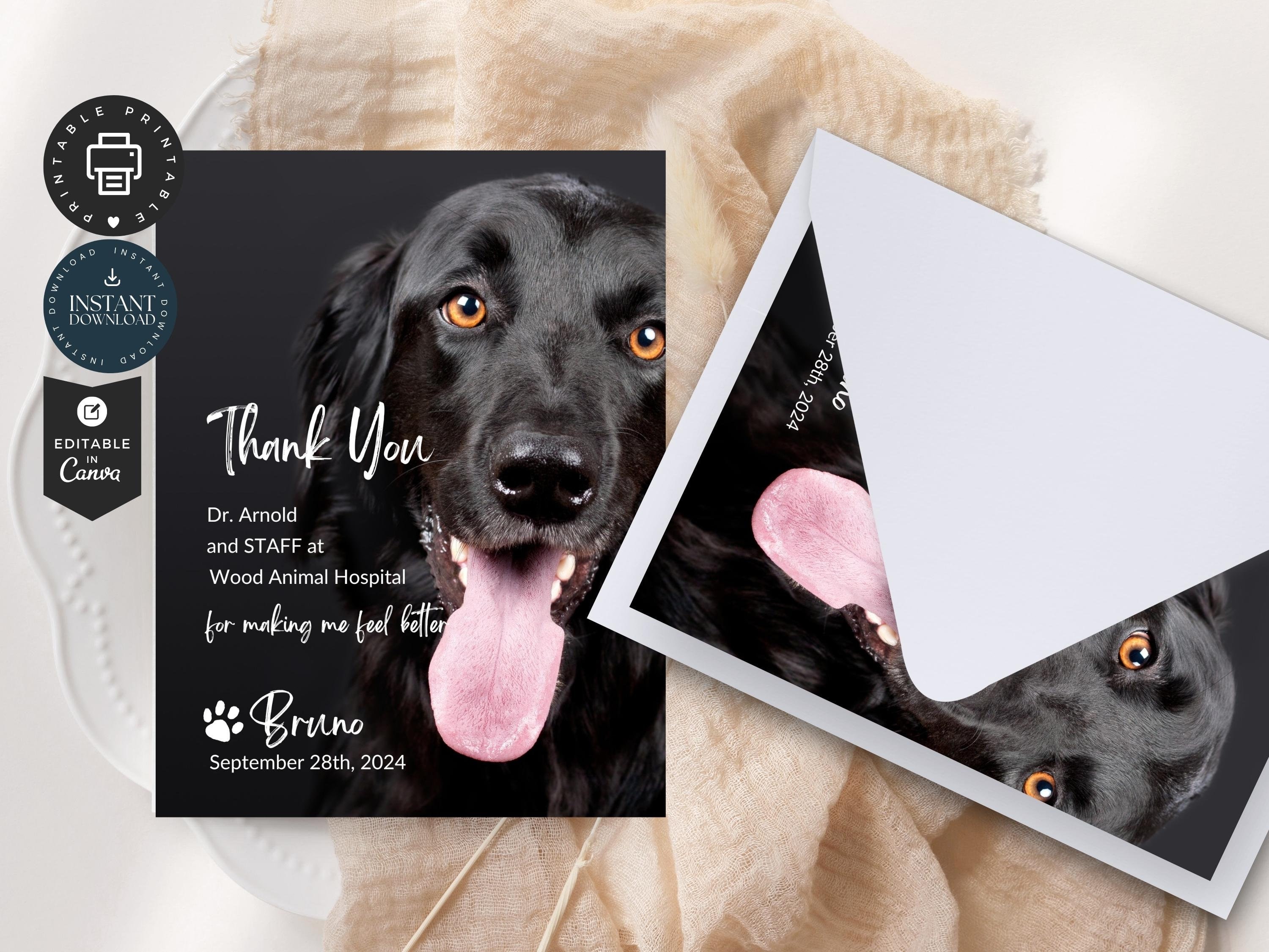 Classic Minimalist Modern Thank You Card to Veterinarian | Editable ...