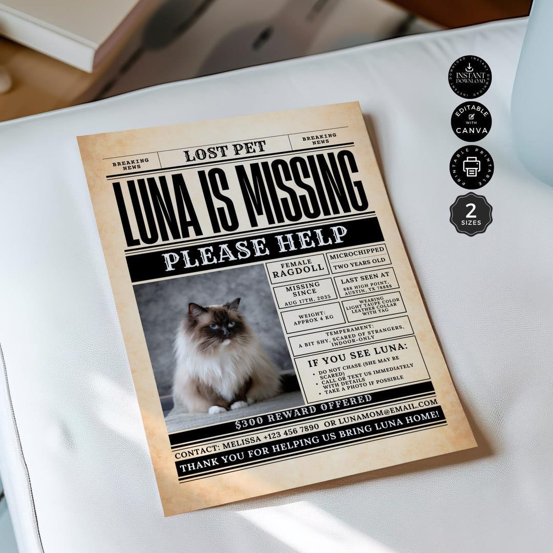 Missing Cat Flyer Poster Template, Lost Pet, Missing Dog, Family Poster ...
