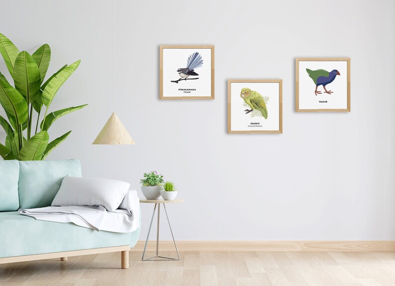 Native Birds of New Zealand Bundle of 16 - Kiwiana - Poster Wall Art ...