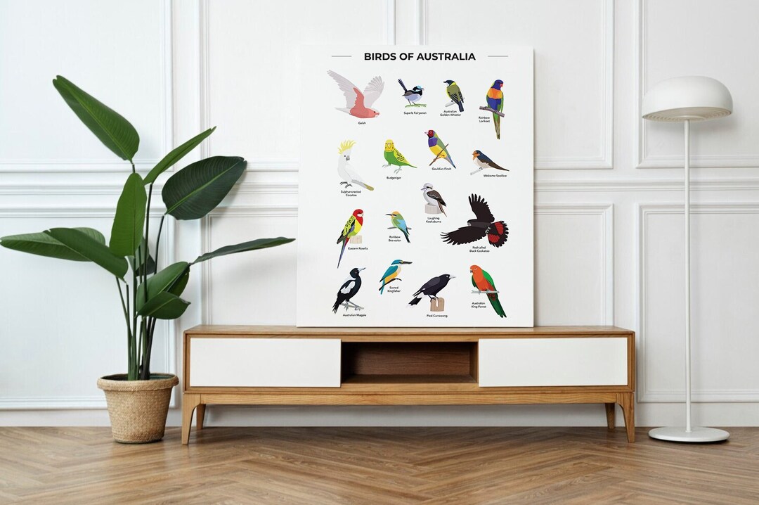 Native Birds of Australia / Poster Wall Art / Print Digital Download ...