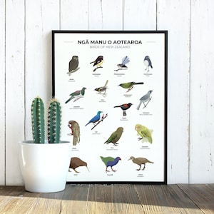 Native Birds of New Zealand Bundle of 16 - Kiwiana - Poster Wall Art ...