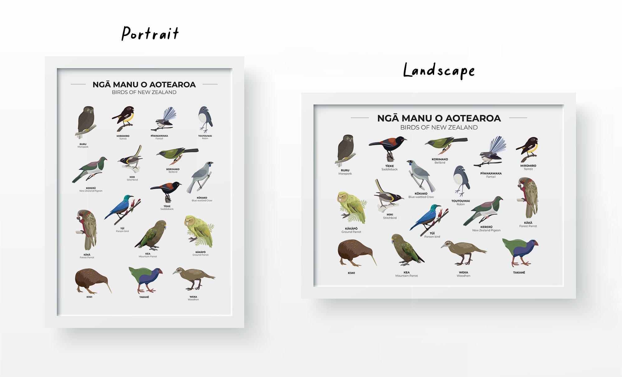 Native Birds of New Zealand - Kiwiana - Poster Wall Art - Print Digital ...