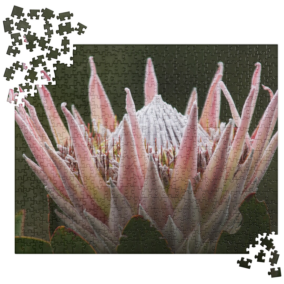 King Protea, Jigsaw Puzzle - Etsy