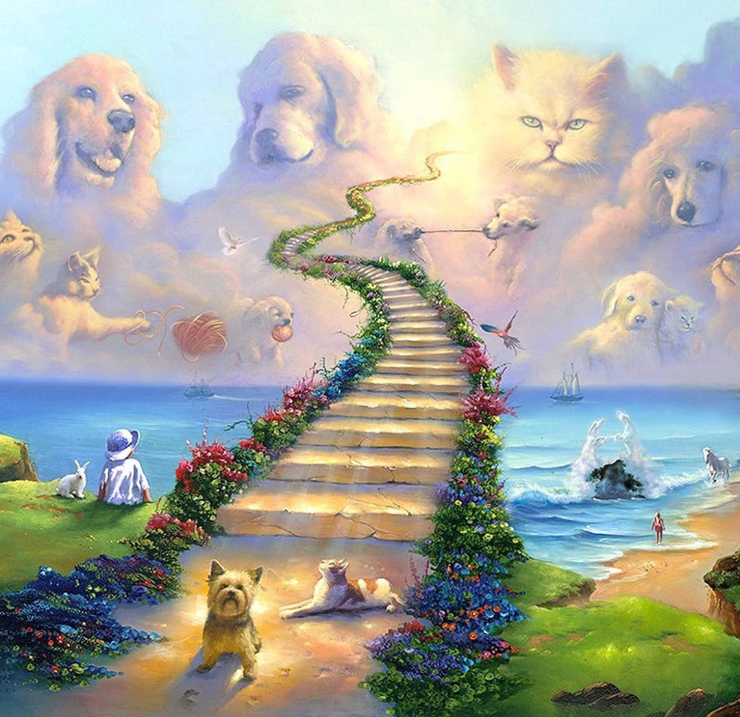 Rainbow Bridge T-shirt - Etsy