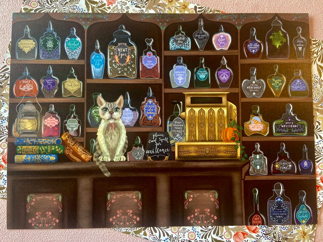 Potion Shop Art Print Harry Potter Inspired Art Potions - Etsy