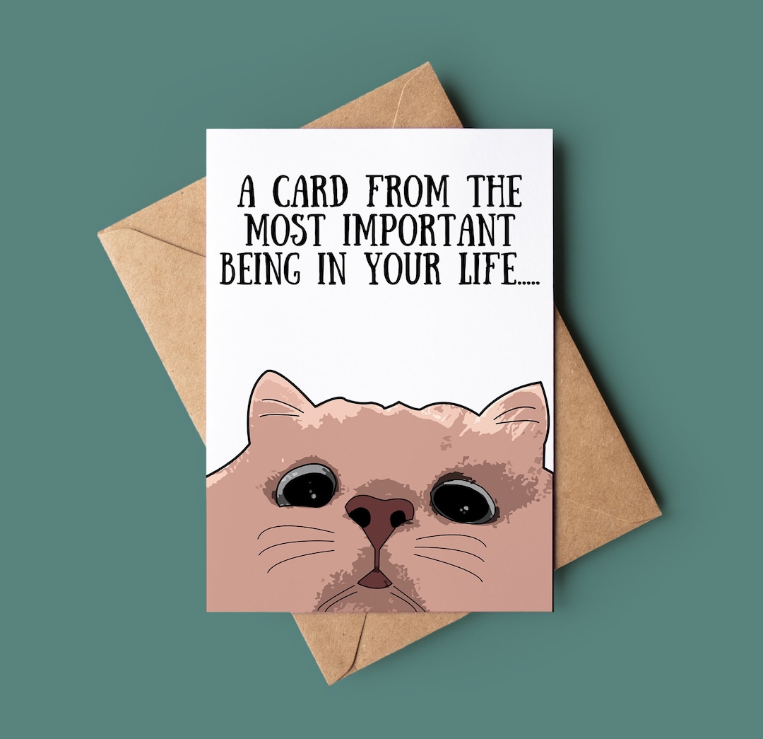 Funny Cat Birthday Card Funny Birthday Card Cat Greetings Card ...