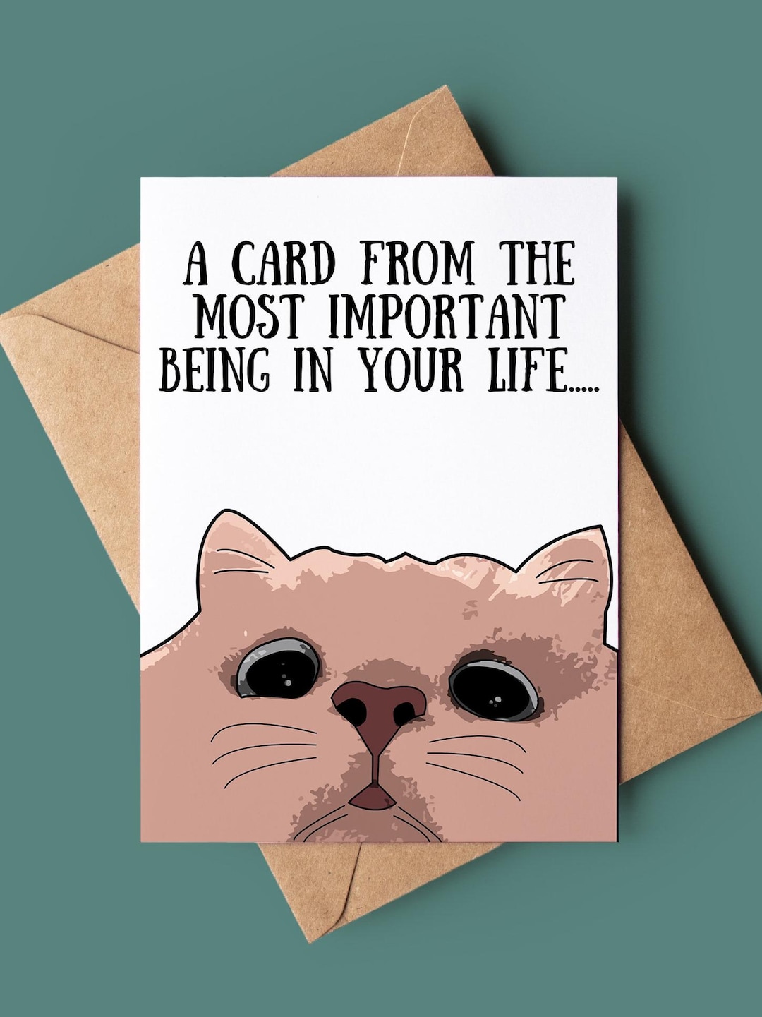 Funny Cat Birthday Card - Funny Birthday Card - Cat Greetings Card ...