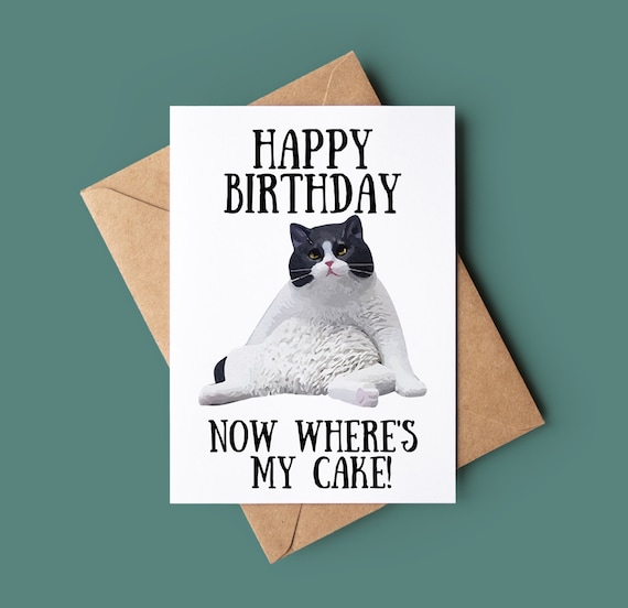 Funny Happy Birthday Fat Cat
