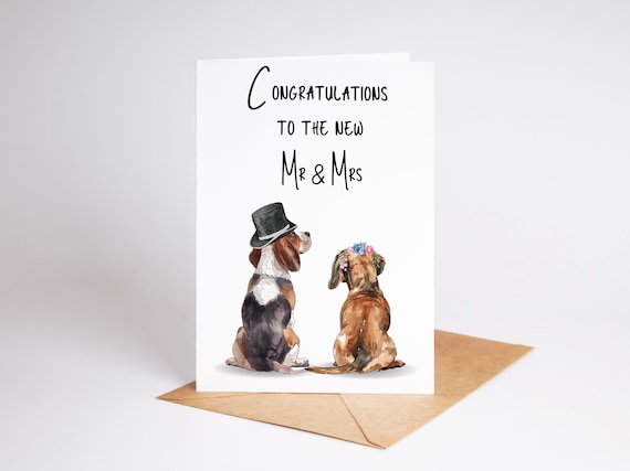 Chien De Grammaire