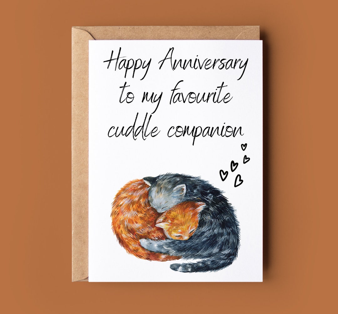 Cat Cuddle Companion Anniversary Card - Cute Cat Card for Her ...