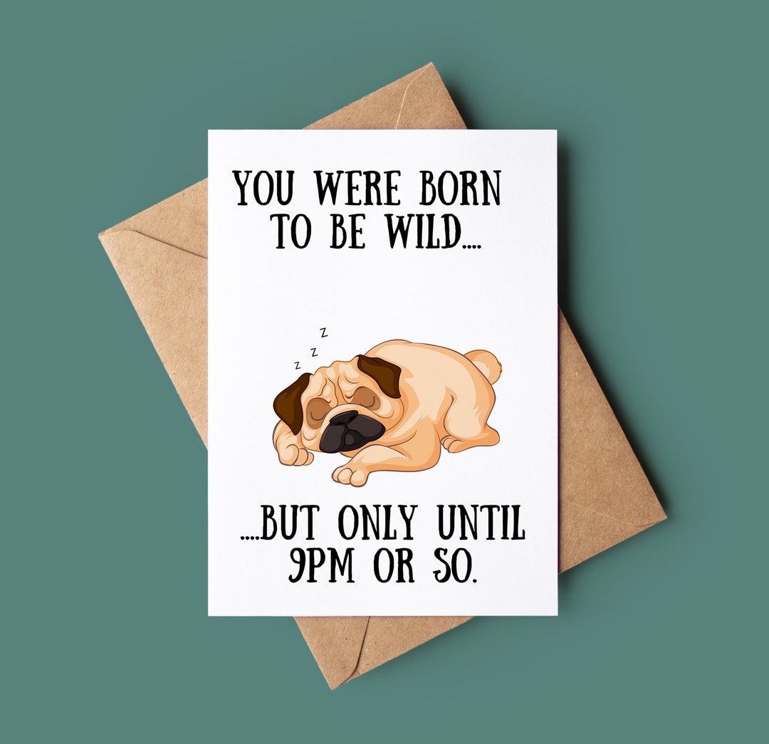 Happy Birthday Card - Funny Dog Birthday Card - Dog Greetings Card ...