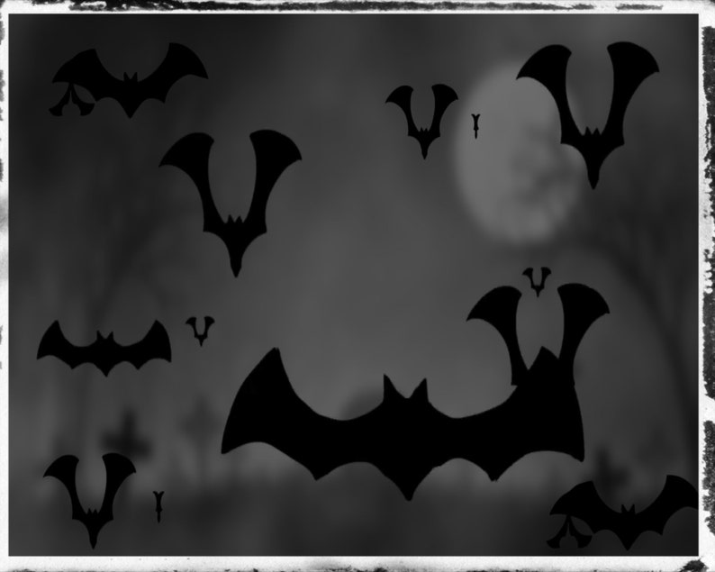 Animated Bat Stinger Transition - Cluster of Bats - Halloween - Flying ...