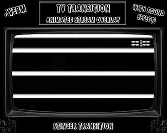 OBS | Retro Tv Glitch | Stinger Transition | Horror - Etsy