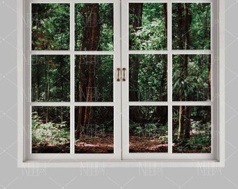 Virtual Backgrounds for Video Conferencing - Outdoor Nature | Backdrop ...