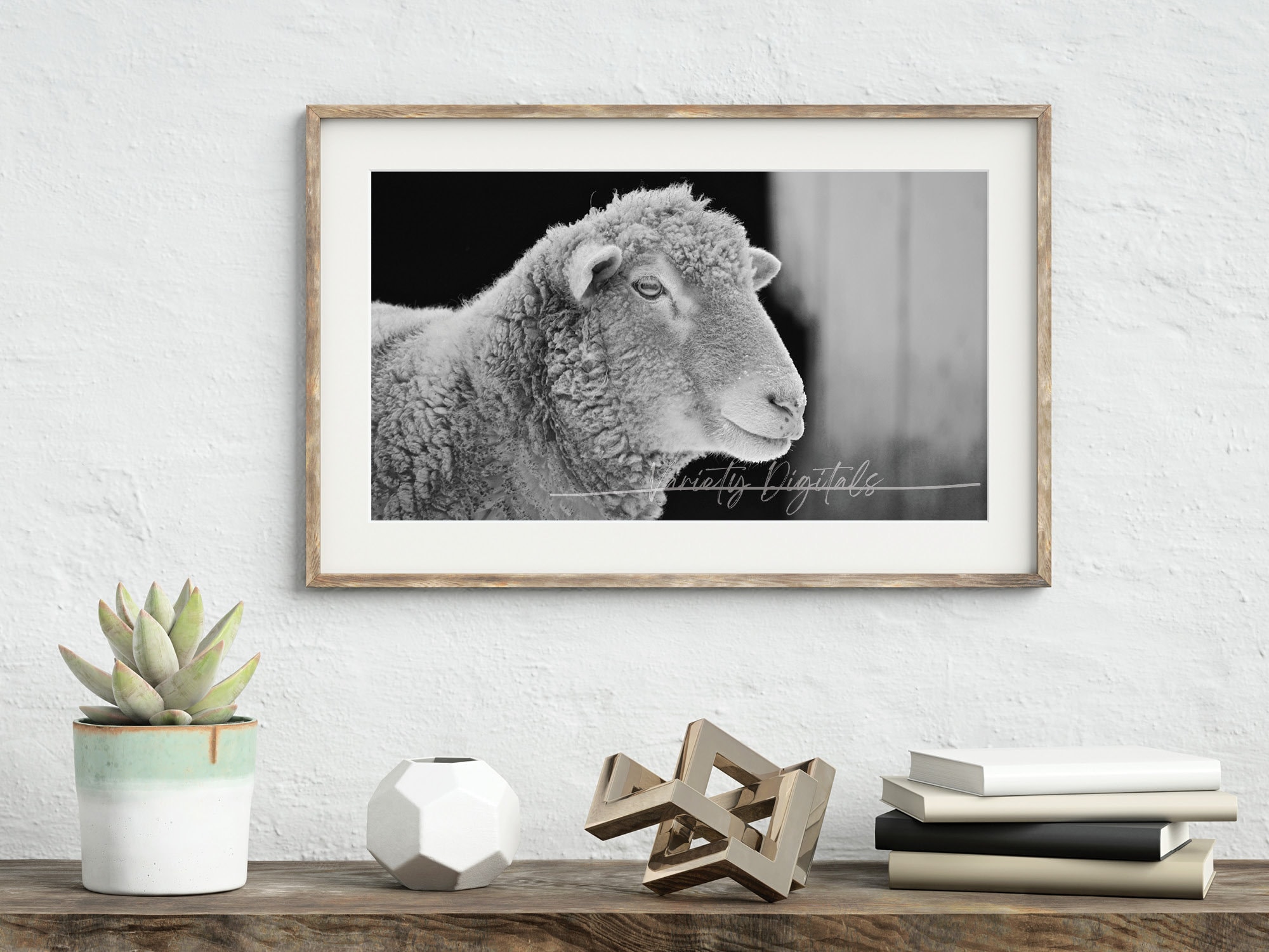 Sheep Wall Art, Sheep Photography, Black and White Sheep Photography ...