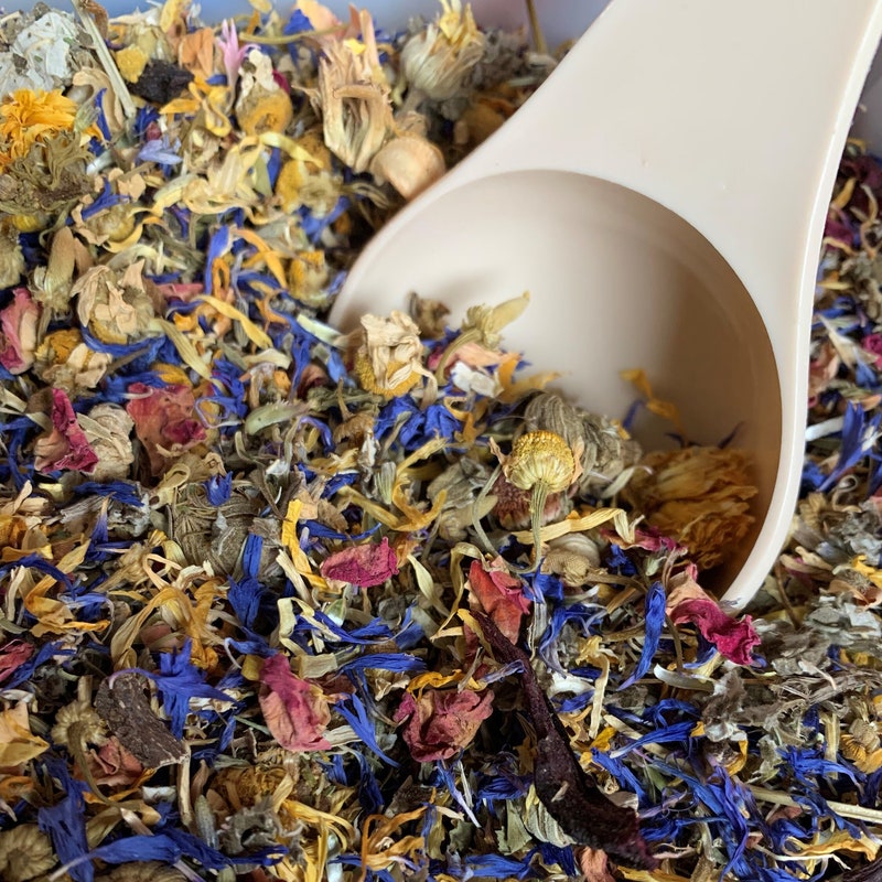 Hamster Hideout - Etsy