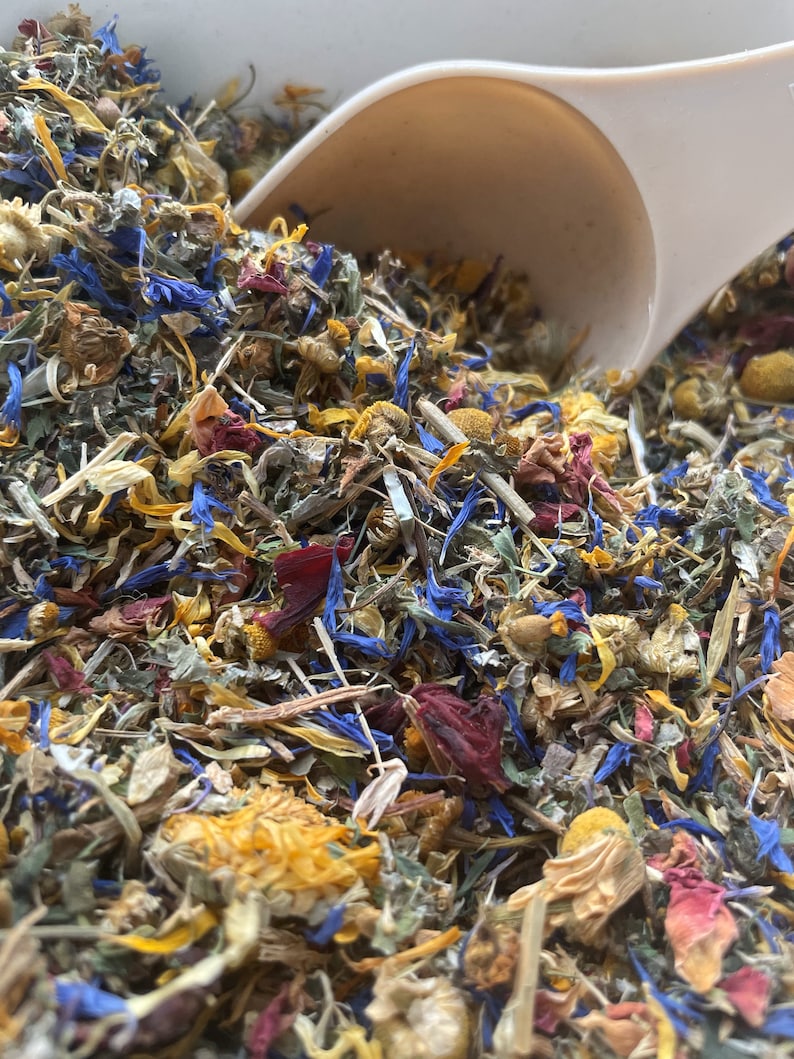 Hamster Forage Herbs Small Animal Foraging Mix All-in-one - Etsy