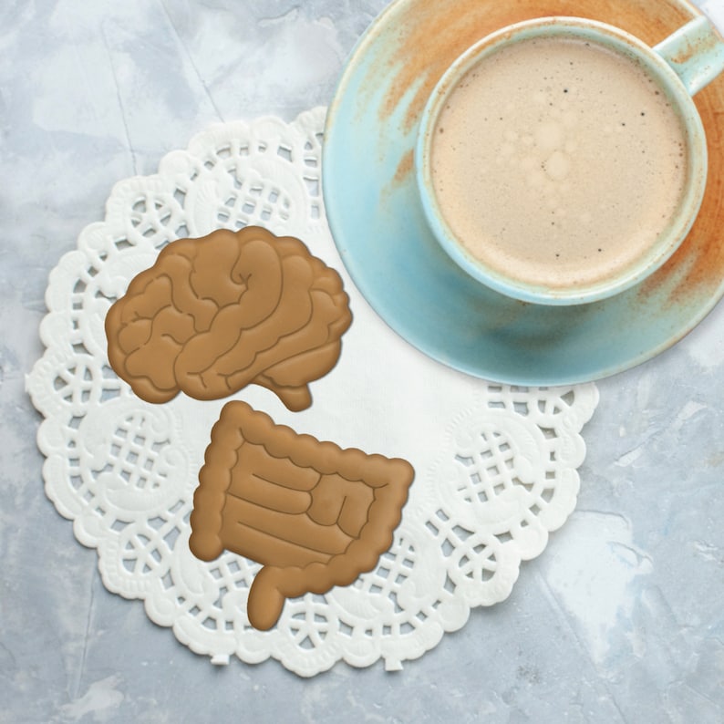 Anatomical Cookie Cutter Set of 5 Kidney Heart Lungs Brain - Etsy