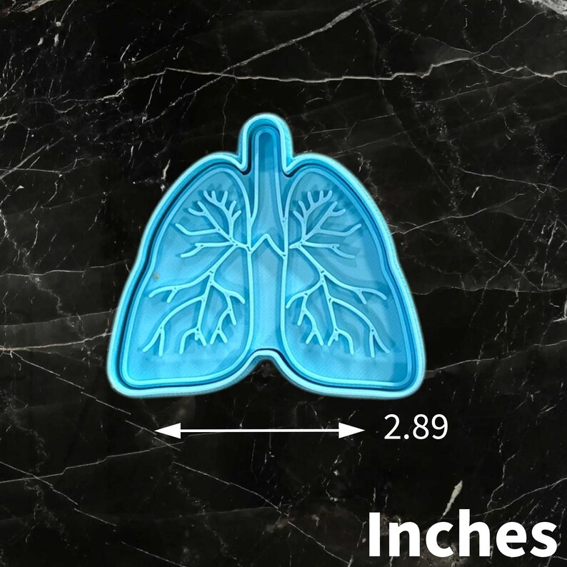Lungs Anatomy Cookie Cutter Stamp | Medical Student Gift Organ Stamp ...