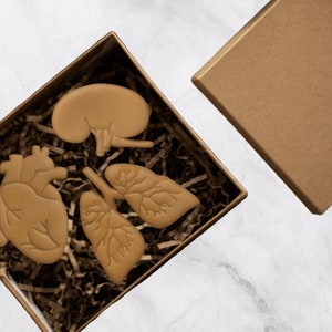 Anatomical Cookie Cutter Set of 5| Kidney Heart Lungs Brain Intestines ...