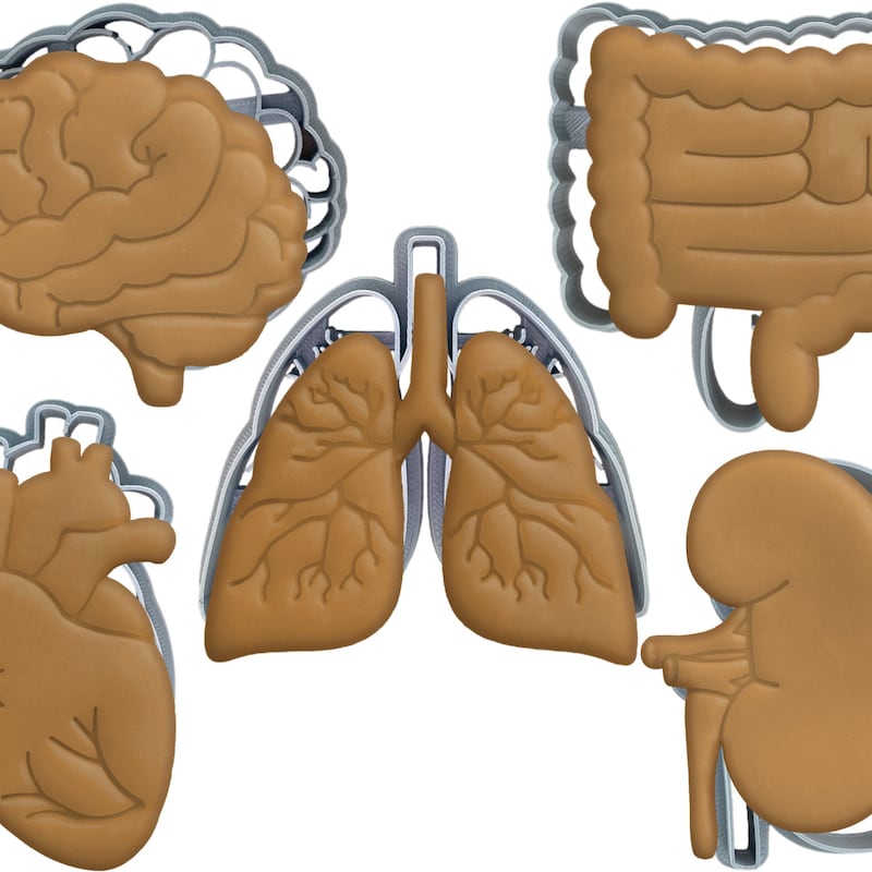 Medical Student Biscuits - Etsy