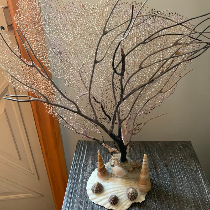 Sea Fan - Etsy
