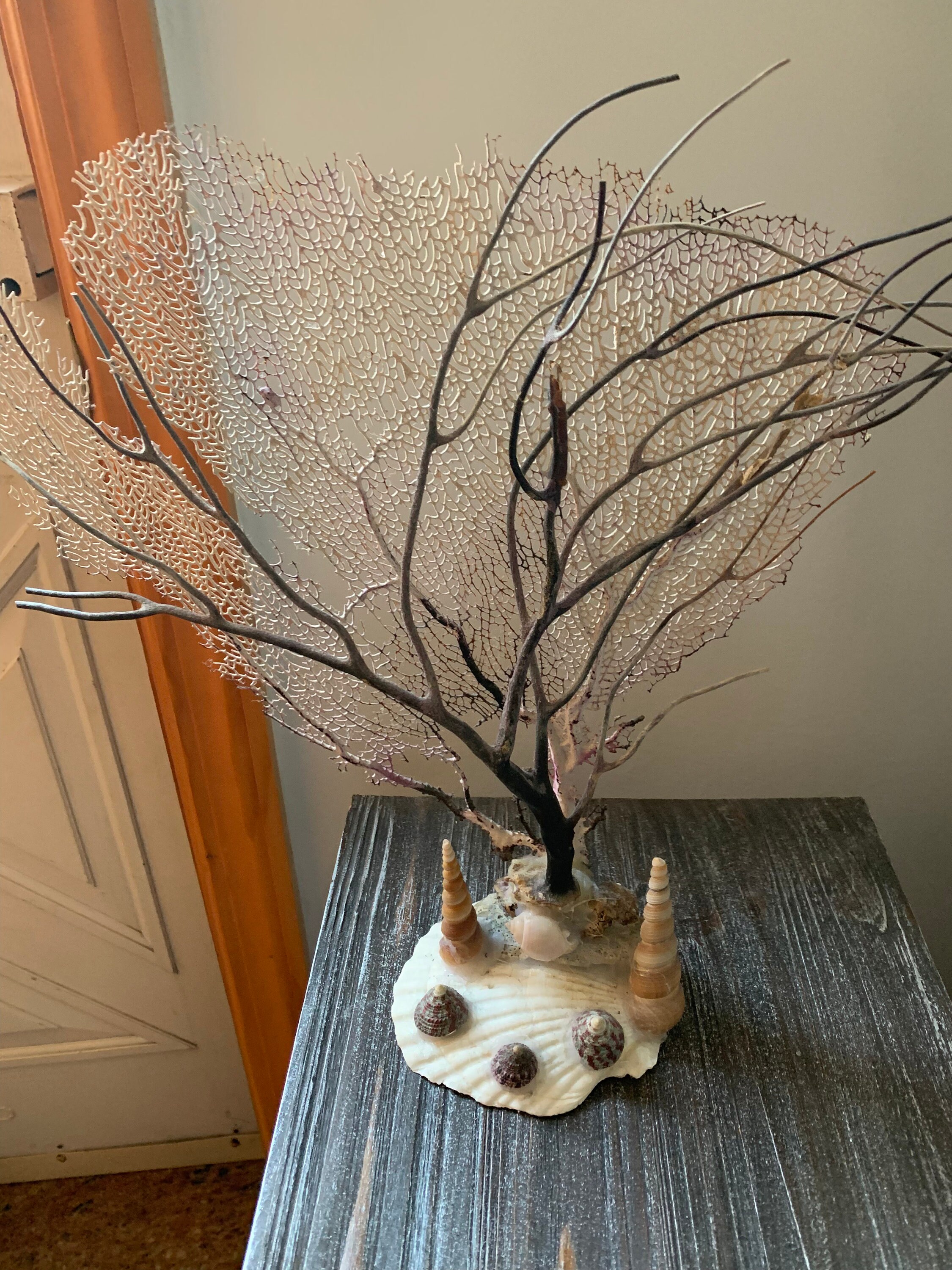 Sea Fan Art - Etsy