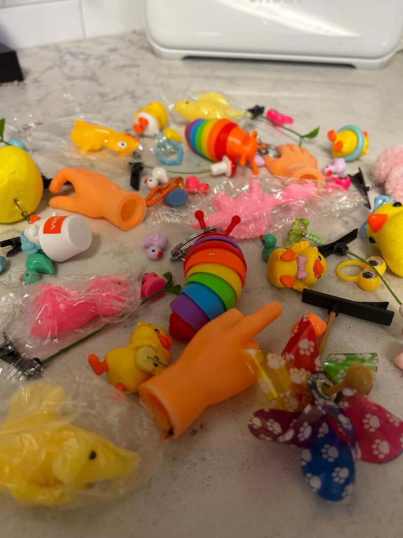 Rave Trinket Assorted Box Sprouts. Rings. Dinosaurs. Fidgets. Ducks ...